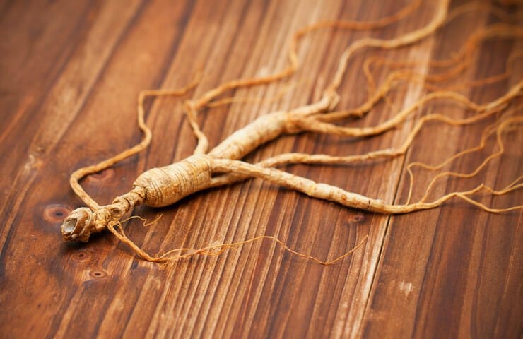 Ginseng Uses and Everything You Need to Know